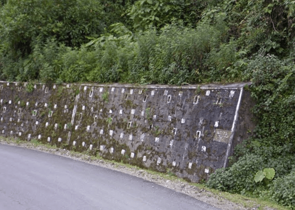 Geodummy | Bhutan 🇧🇹