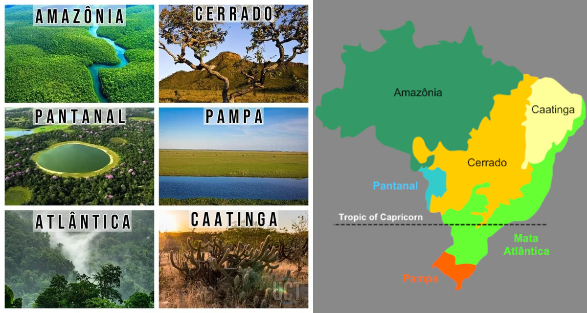 Geodummy | Brazil 🇧🇷