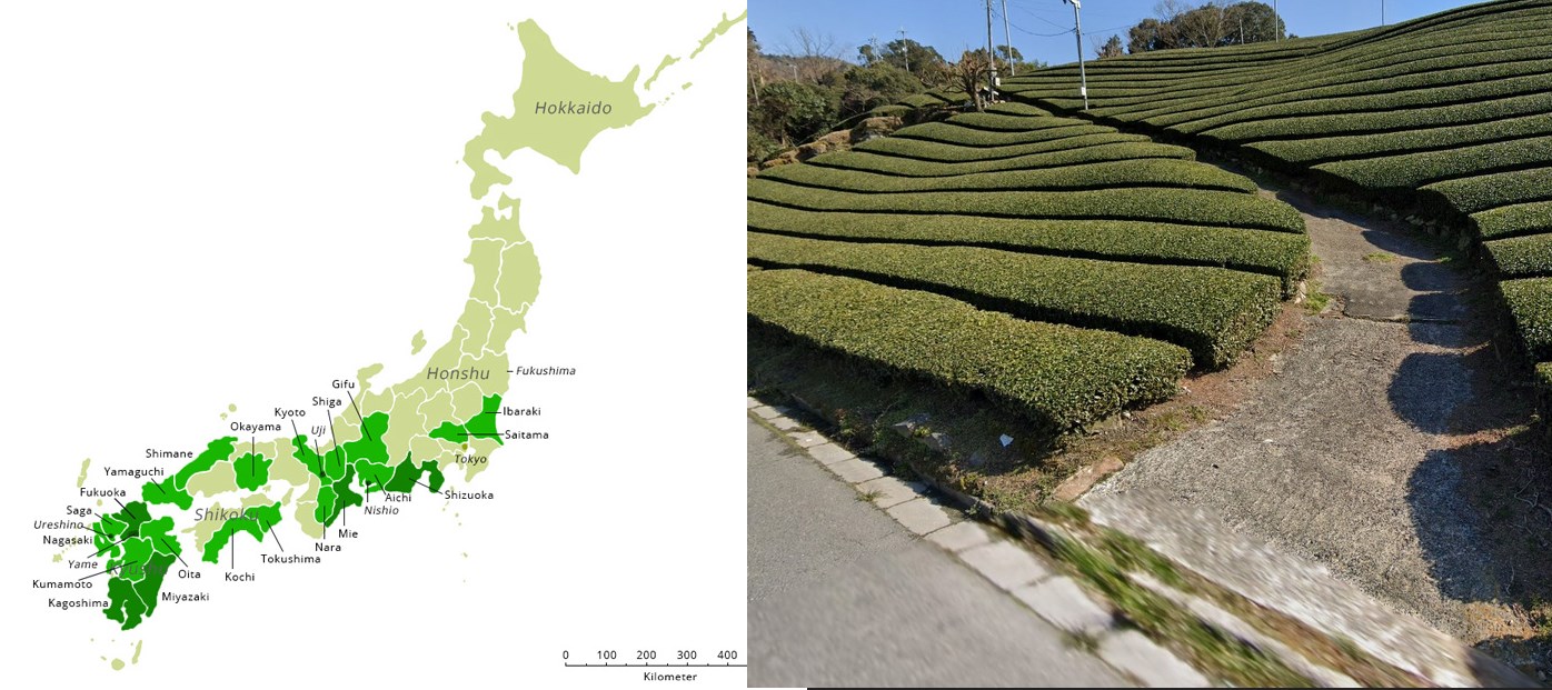 Geodummy | Japan 🇯🇵